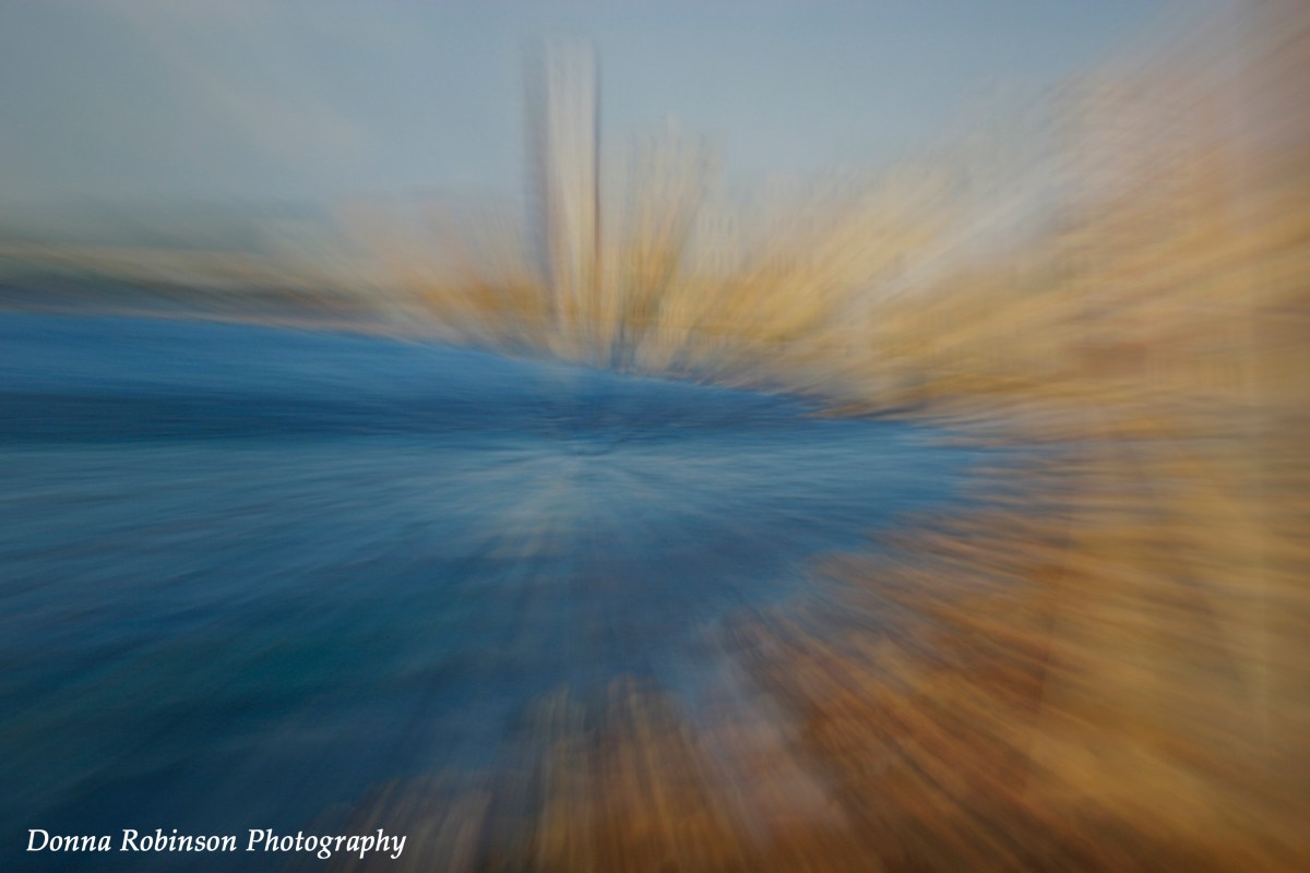 Lens-Artist Challenge #296 – Abstract | Donna Robinson Photography