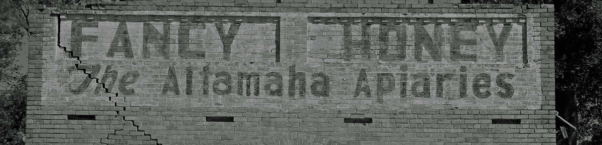 Life In Black & White -“Fancy Honey” | Donna Robinson Photography