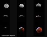 2019 Lunar Eclipse | Donna Robinson Photography
