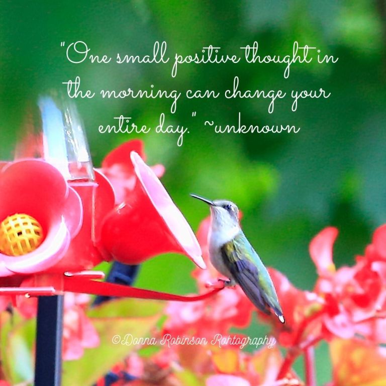 One Small Positive Thought….. | Donna Robinson Photography