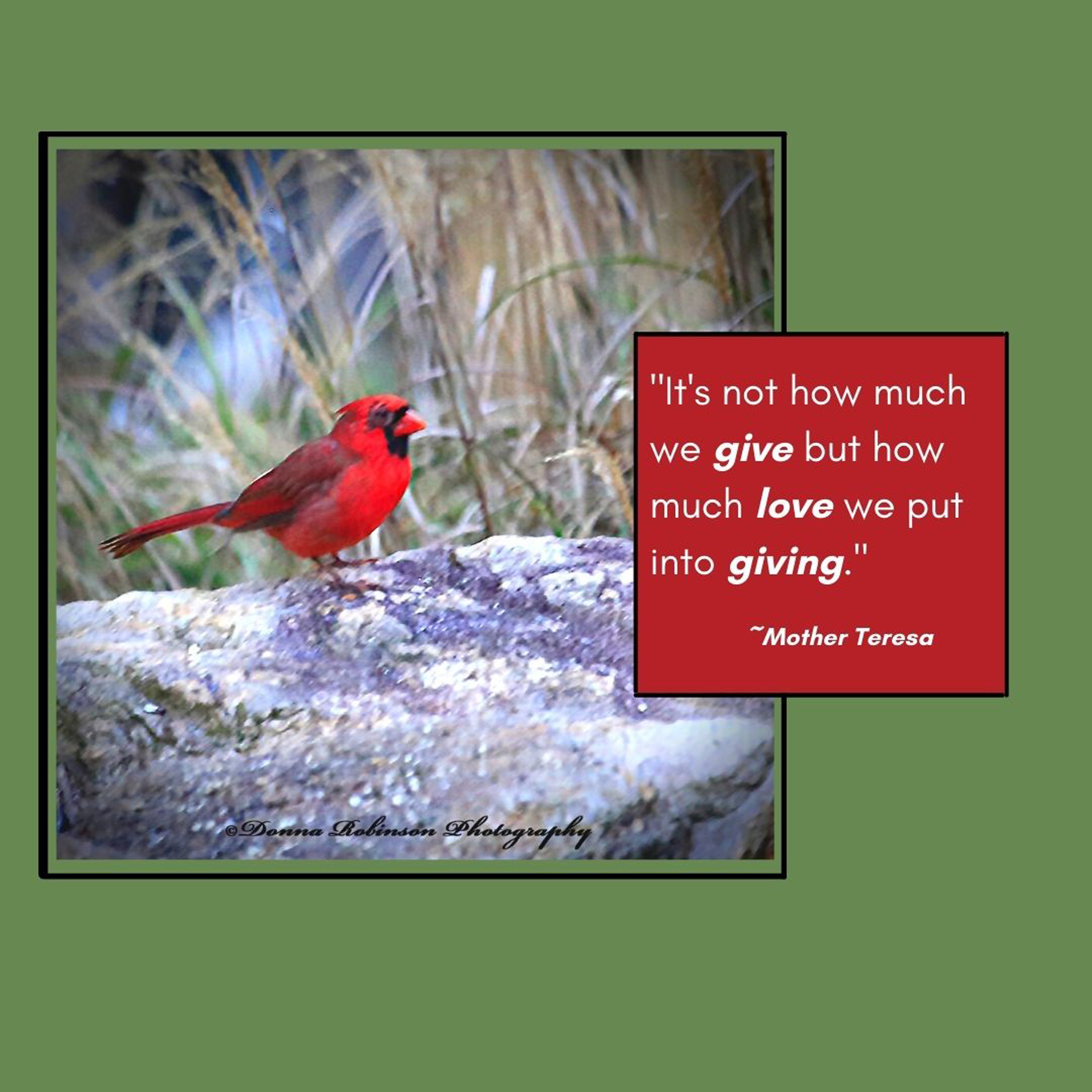 It’s the Amount of Love You Put Into Giving….. | Donna Robinson Photography